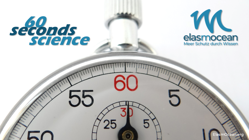60 seconds science - SpotlightScience - Elasmocean